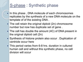 Cell cycle and division | PPT