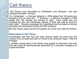 Cell cycle and division | PPTX
