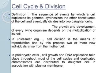 Cell cycle and division | PPTX
