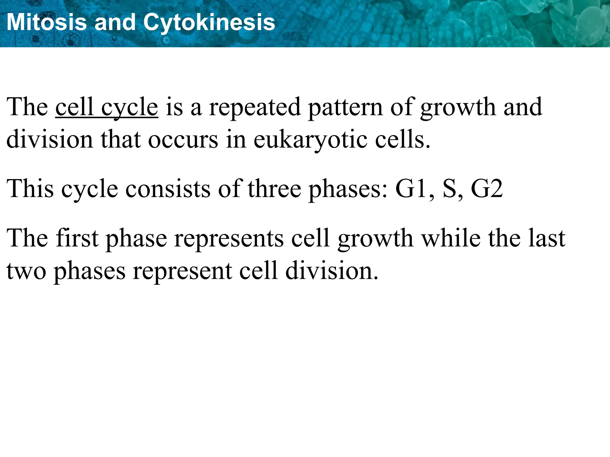 Cell Cycle FOR GRADE 8 SCIENCE second quarter.ppt