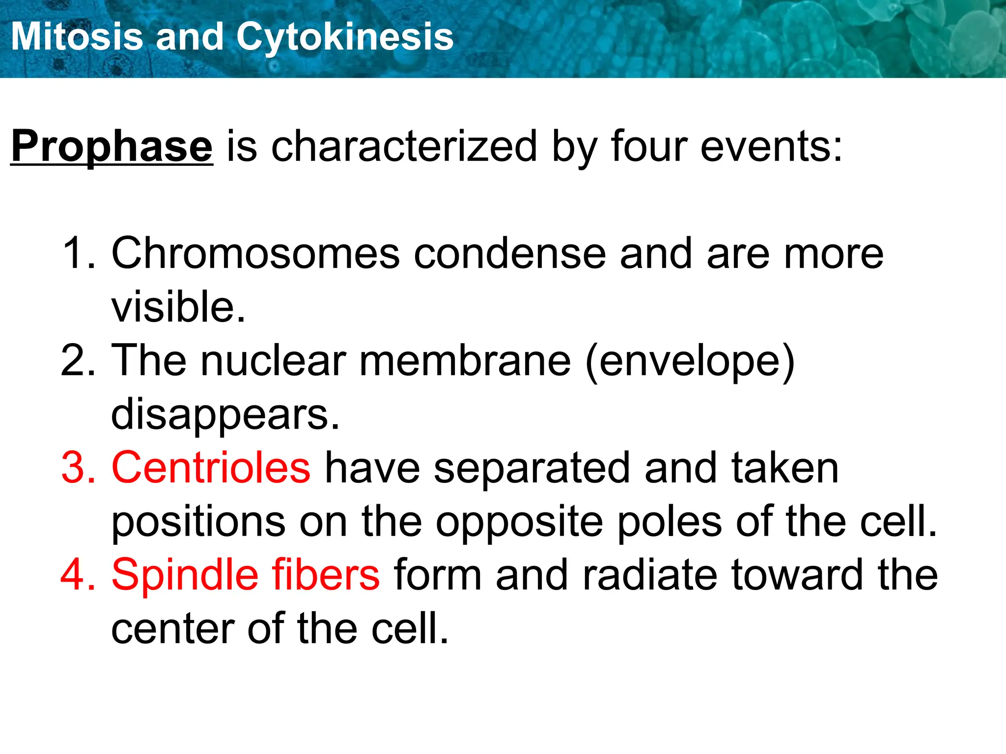 Cell Cycle FOR GRADE 8 SCIENCE second quarter.ppt
