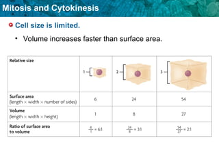 Cell Cycle FOR GRADE 8 SCIENCE second quarter.ppt