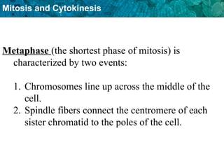 Cell Cycle FOR GRADE 8 SCIENCE second quarter.ppt