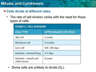 Cell Cycle FOR GRADE 8 SCIENCE second quarter.ppt
