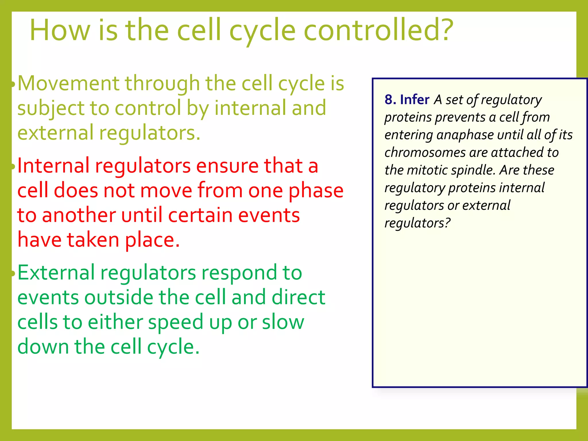 Cell cycle in full detail study including literature review | PPT