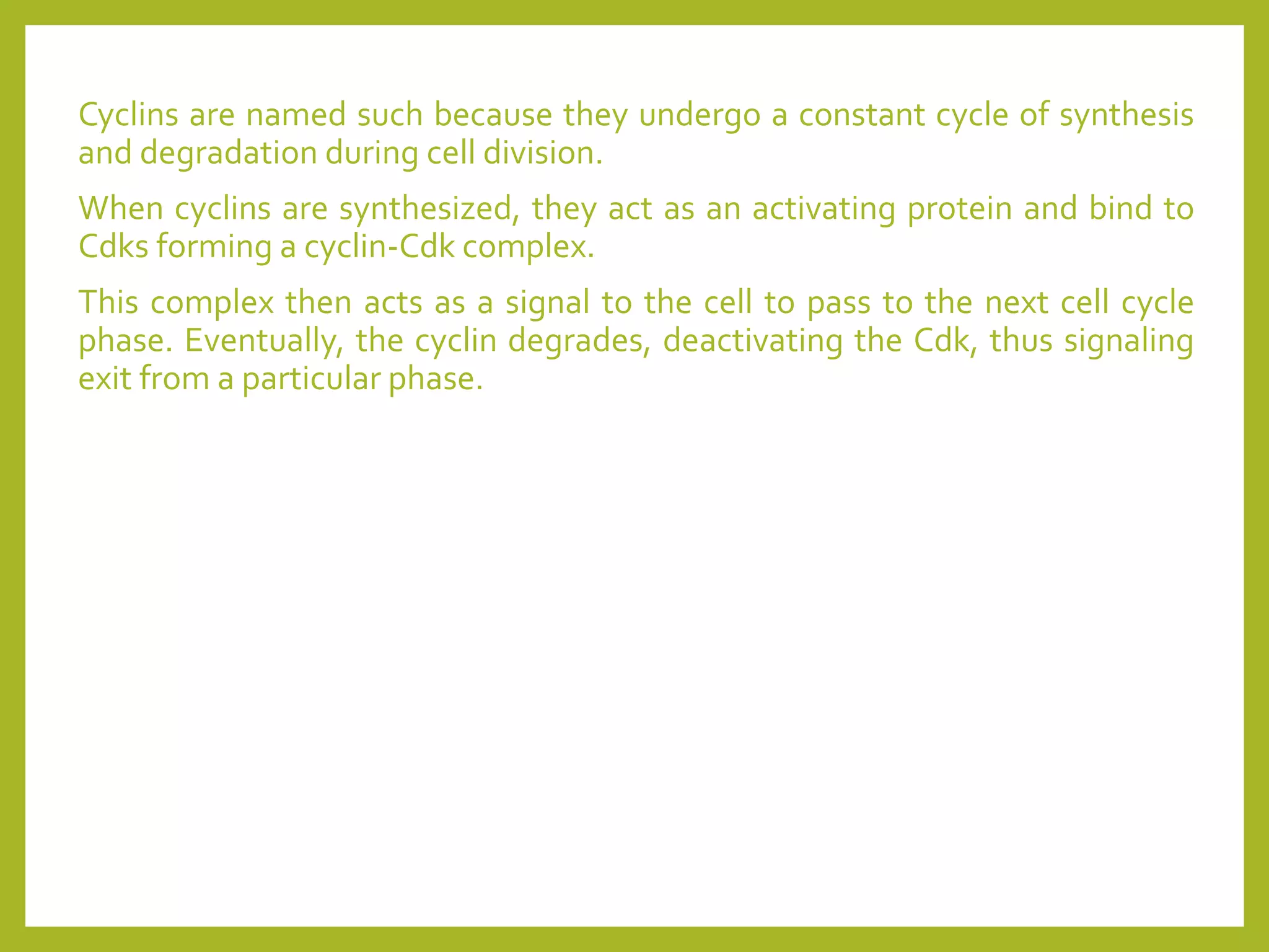 Cell cycle in full detail study including literature review | PPT