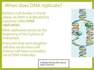 Cell cycle in full detail study including literature review | PPT