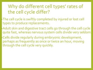 Cell cycle in full detail study including literature review | PPT