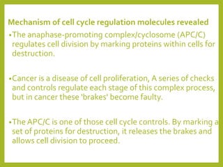Cell cycle in full detail study including literature review | PPT