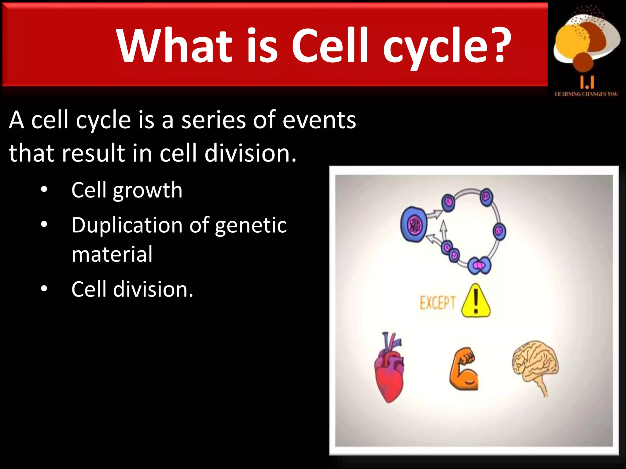 Cell cycle checkpoints | PPTX
