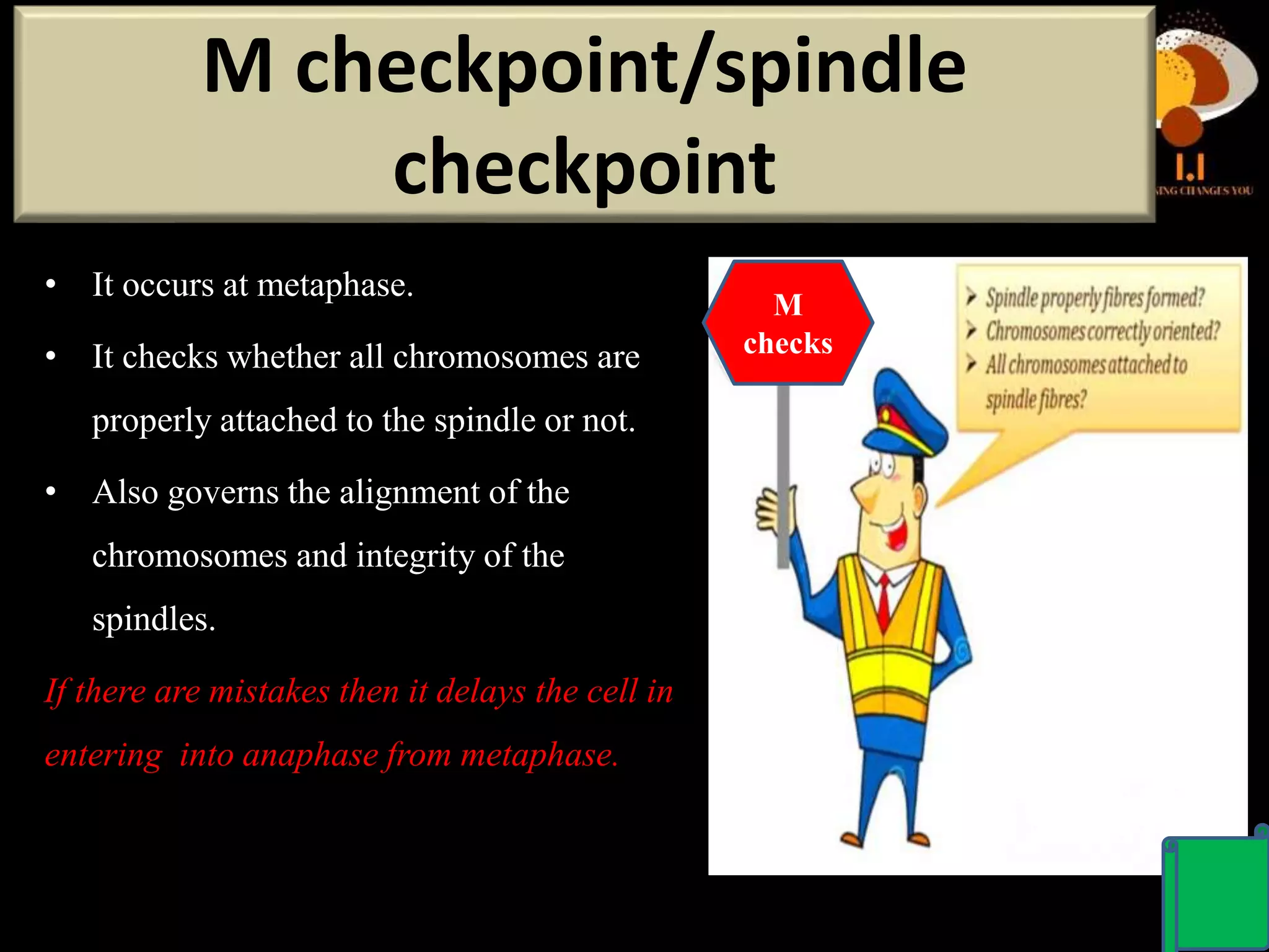 Cell cycle checkpoints | PPTX