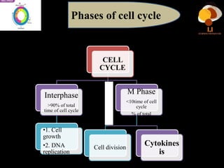 Cell cycle checkpoints | PPTX