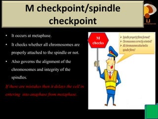 Cell cycle checkpoints | PPTX