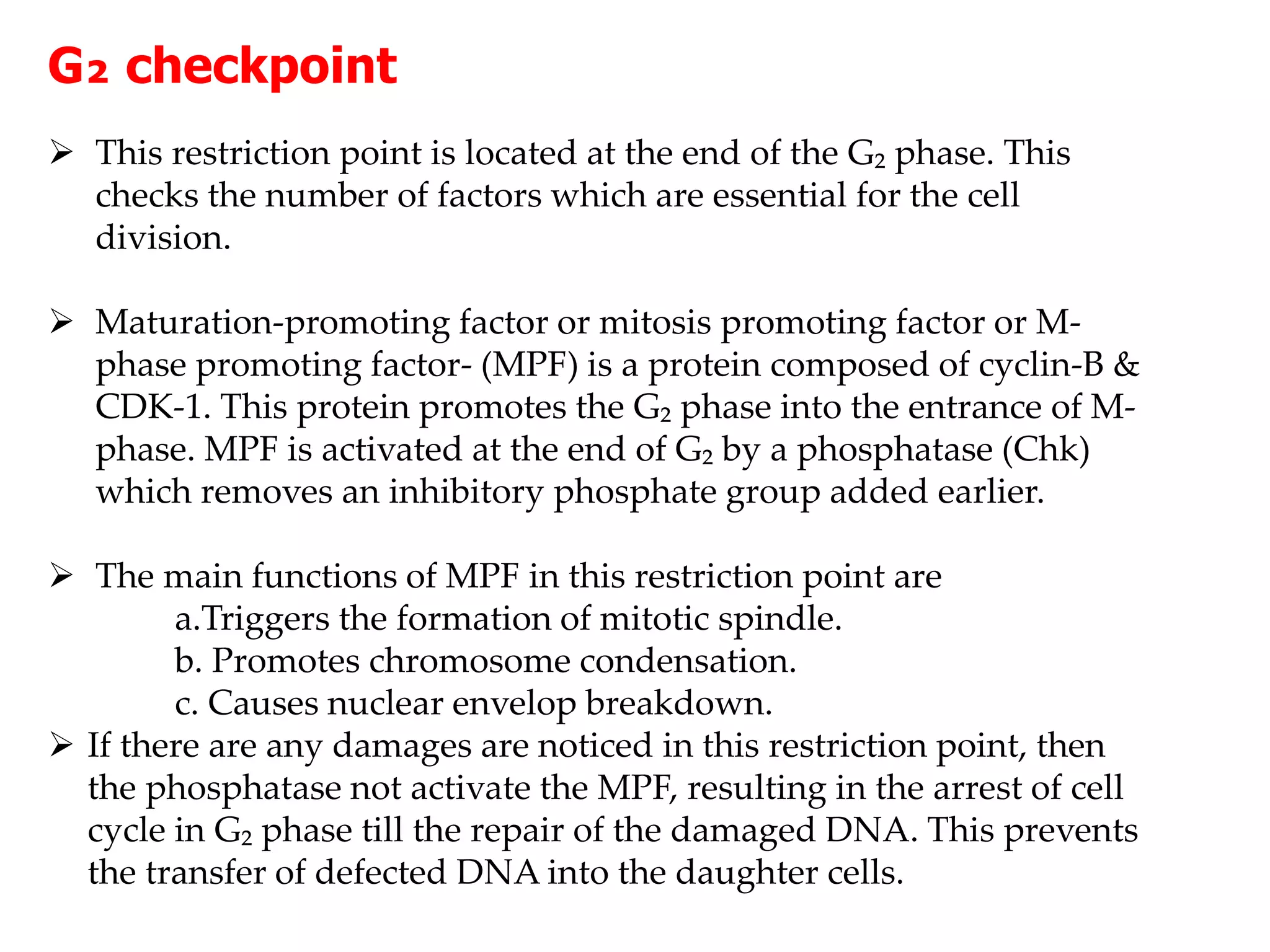 CELL CYCLE & ITS REGULATION.pptx