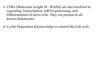 CELL CYCLE & ITS REGULATION.pptx