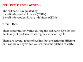 CELL CYCLE & ITS REGULATION.pptx