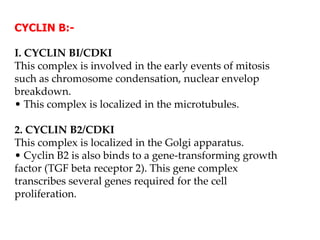 CELL CYCLE & ITS REGULATION.pptx