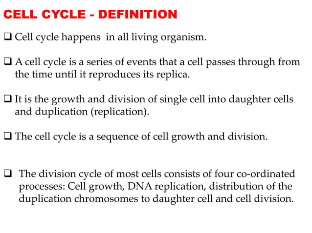 CELL CYCLE & ITS REGULATION.pptx | Biological Sciences | Science