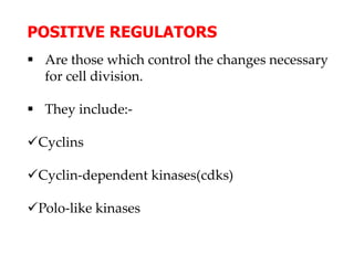 CELL CYCLE & ITS REGULATION.pptx
