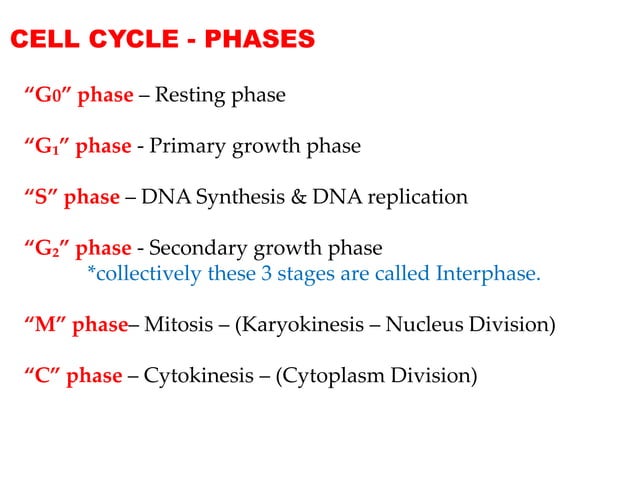 CELL CYCLE & ITS REGULATION.pptx | Biological Sciences | Science