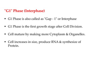 CELL CYCLE & ITS REGULATION.pptx