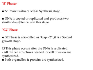 CELL CYCLE & ITS REGULATION.pptx