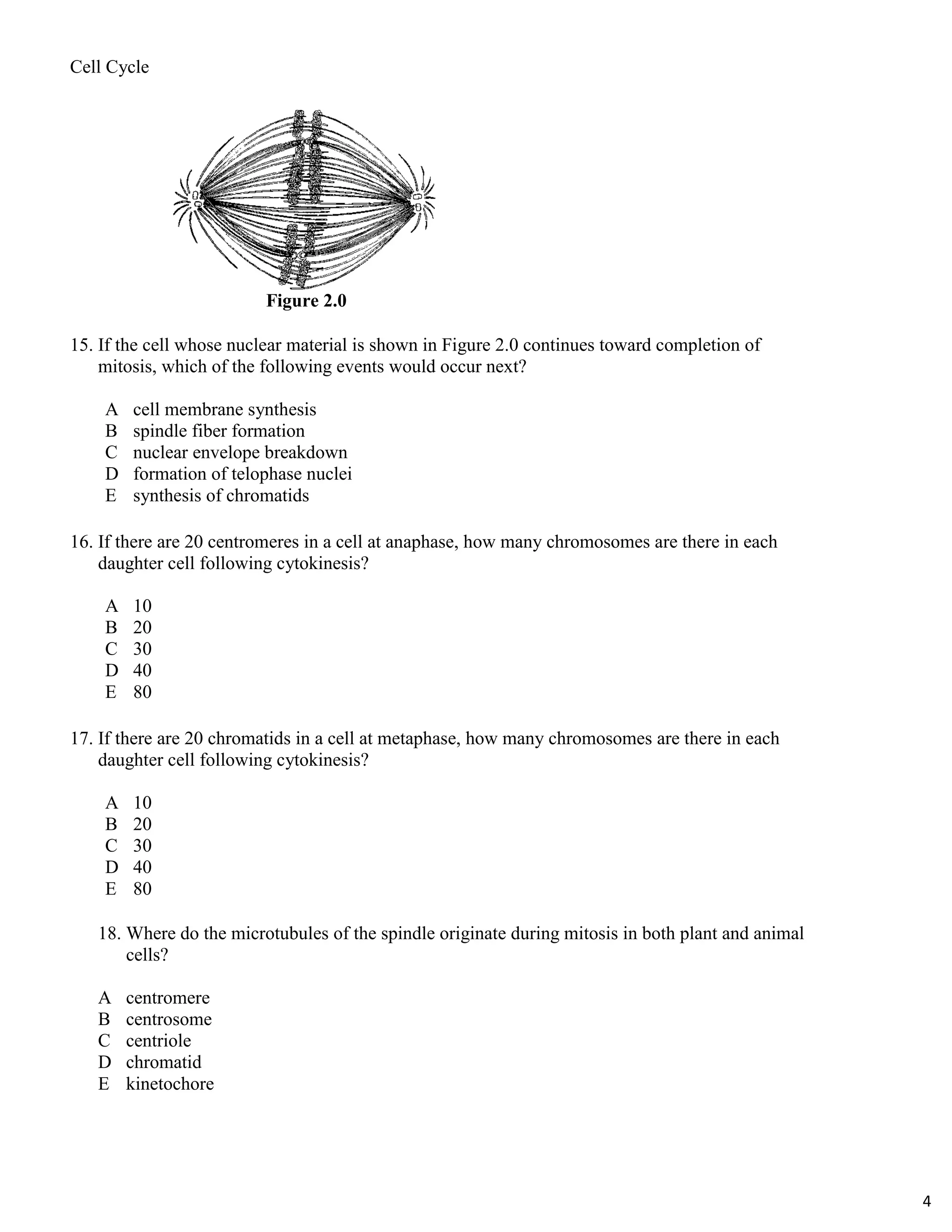 cell cycle mcq.pdf