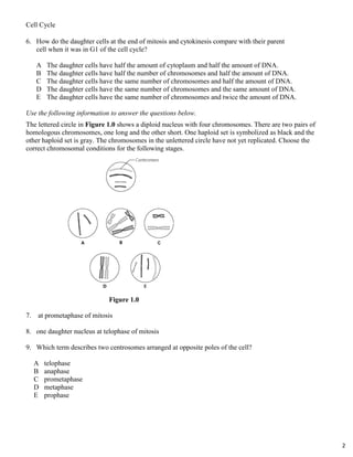 cell cycle mcq.pdf