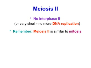 CELL CYCLE meiosis.pptxCell cycle mitosis.pptx
