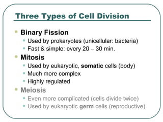 The Cell Cycle | PPT