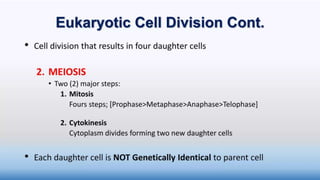 Cell cycle(mitosis) for edexcel made easy .pptx