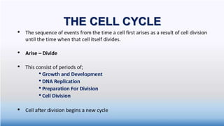 Cell cycle(mitosis) for edexcel made easy .pptx