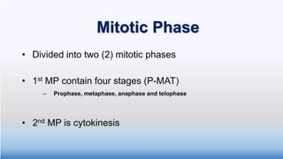 Cell cycle(mitosis) for edexcel made easy .pptx