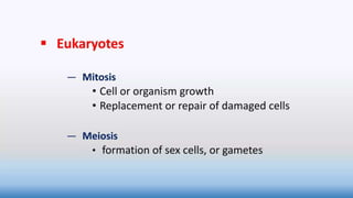 Cell cycle(mitosis) for edexcel made easy .pptx
