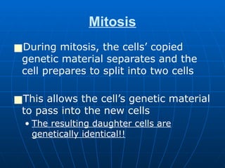 CELL CYCLE, MITOSIS & MEIOSIS Grade 8 Science lesson | PPTX