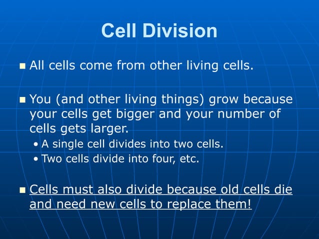CELL CYCLE, MITOSIS & MEIOSIS Grade 8 Science lesson | PPT