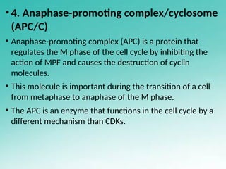 Cell cycle,cell cycle checkpoint and control | PPT