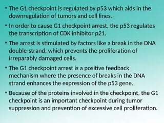 Cell cycle,cell cycle checkpoint and control | PPT