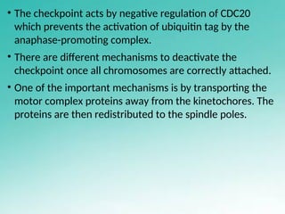 Cell cycle,cell cycle checkpoint and control | PPT