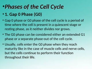 Cell cycle,cell cycle checkpoint and control | PPT