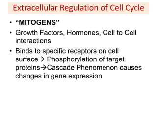 Cell cycle | PPTX