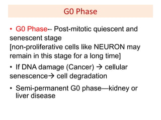 Cell cycle | PPTX