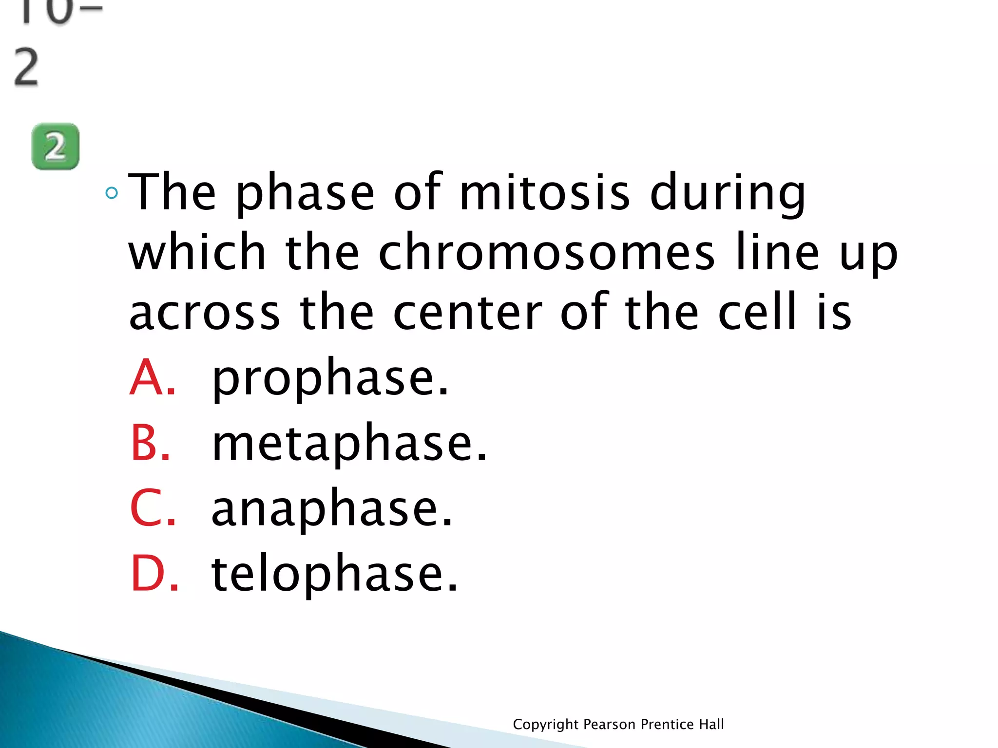 Cell Cycle Images and Questions | PPTX