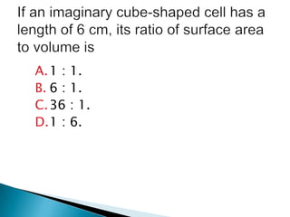 Cell Cycle Images and Questions | PPTX