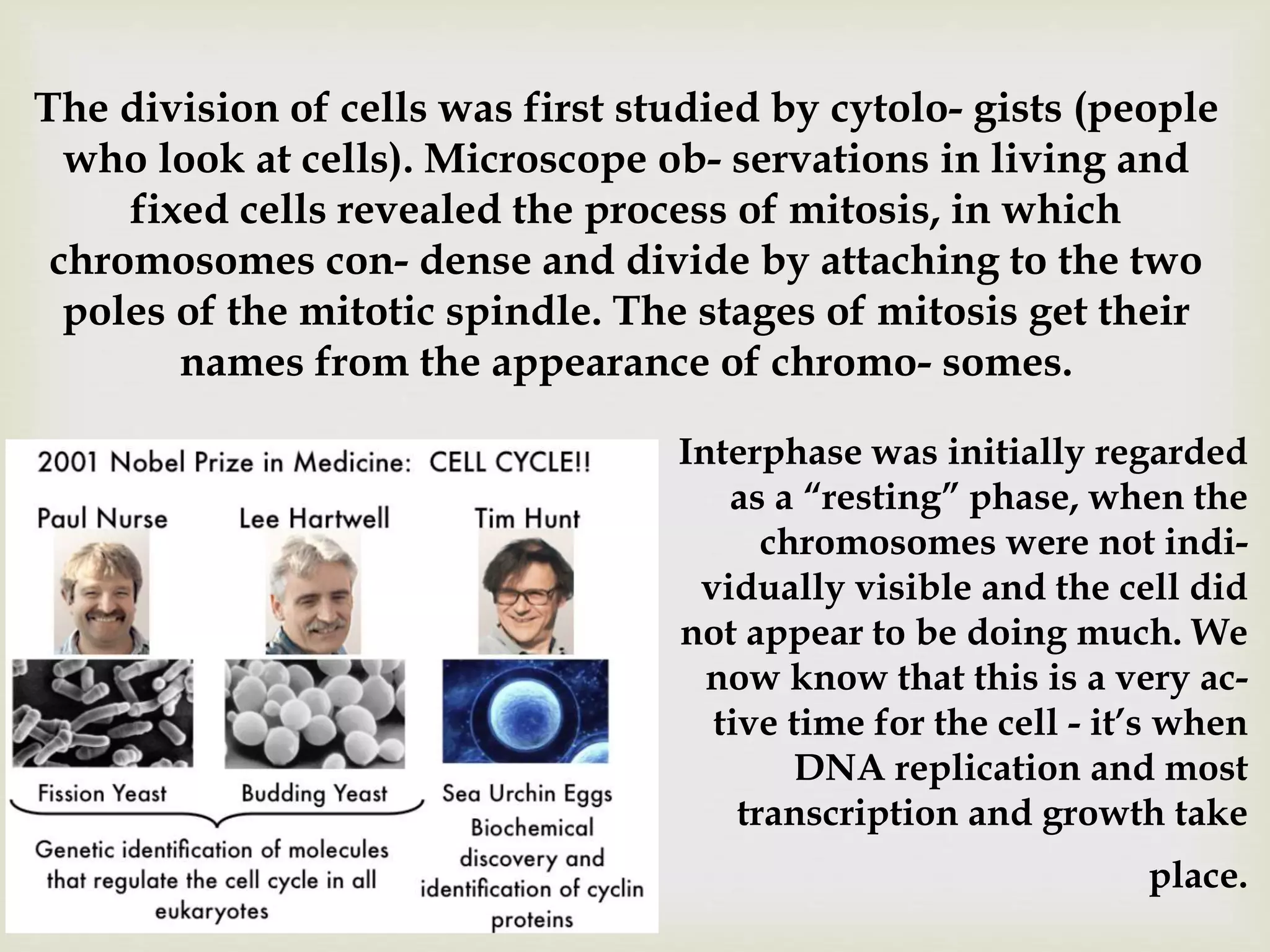 Cell cycle of Xenopus | PPTX