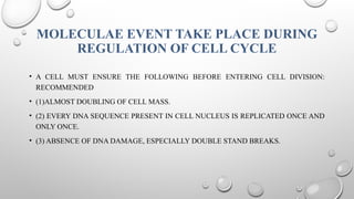 Cell cycle, Phases of Cell Cycle, Molecular events during the cell ...