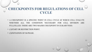 Cell cycle, Phases of Cell Cycle, Molecular events during the cell ...