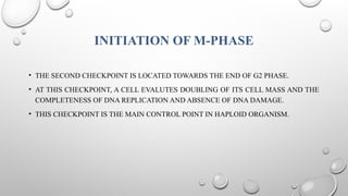 Cell cycle, Phases of Cell Cycle, Molecular events during the cell ...