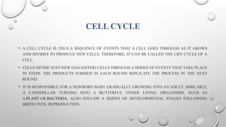 Cell cycle, Phases of Cell Cycle, Molecular events during the cell ...