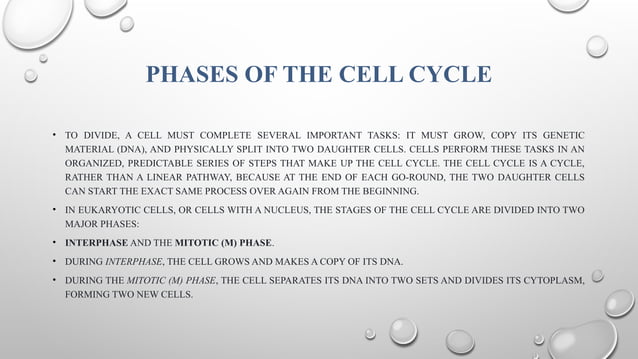 Cell cycle, Phases of Cell Cycle, Molecular events during the cell ...